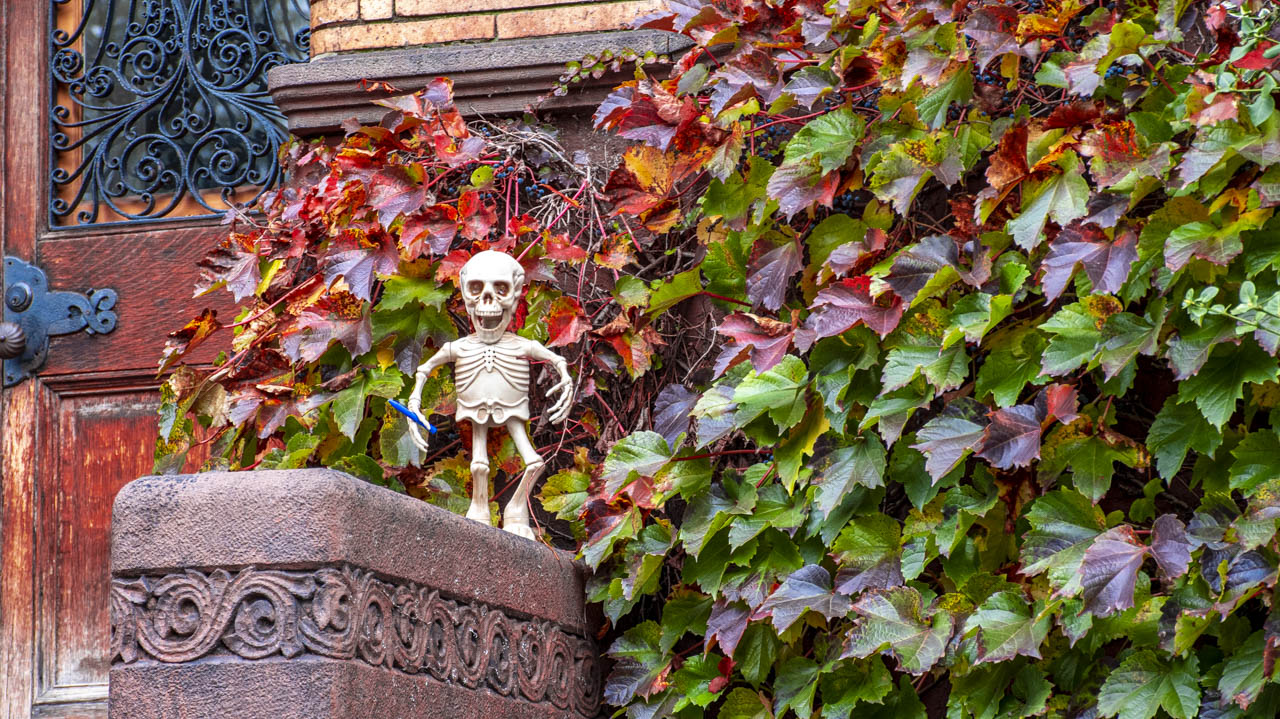 Rise and Shine: Nov. 5, 2021 - CivMix