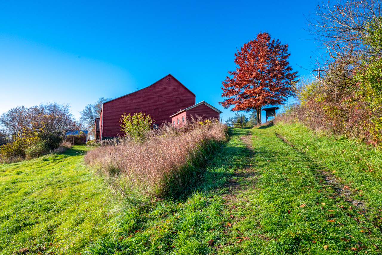 Rise and Shine: Monday, Oct. 14, 2024 - CivMix