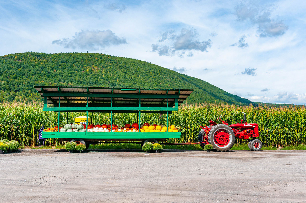 Rise and Shine: Tuesday, Oct. 14, 2025 - CivMix