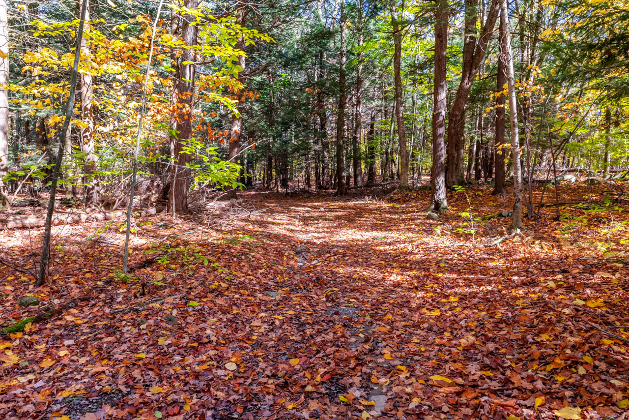 Rise and Shine: Wednesday, Oct. 15, 2025 - CivMix