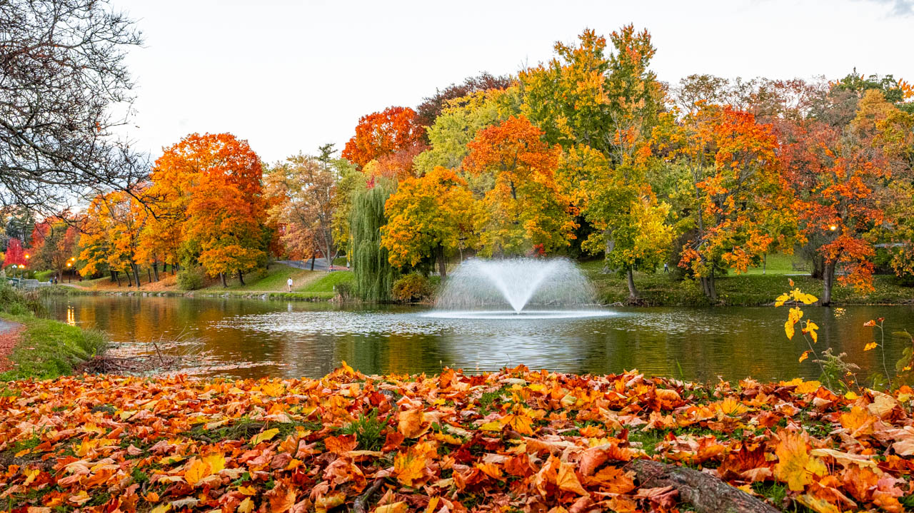 Rise and Shine: Tuesday, Nov. 11, 2025 - CivMix